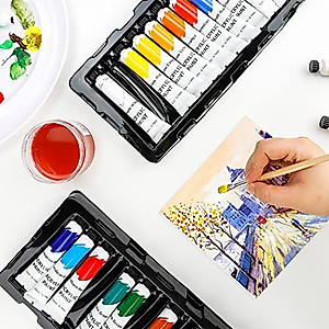 Amazon Basics Acrylic Paint Tubes, 24 Colors