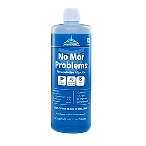 No Mor Problems Swimming Pool Algaecide - 1 Quart