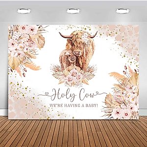 Ayayiya Boho Holy Cow Baby Shower Backdrop Highland Cow We are Having A Baby Bohemian Pink Floral Pampa Grass Photography Background Farm Animal Baby Shower Party Decorations Banner Supplies 5x3ft