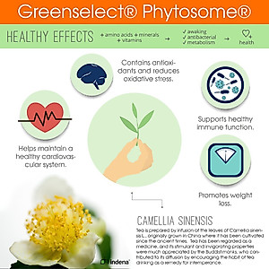 Genius Probiotics for Weight Loss with Green Tea Extract - Fat Burner Supplement & Digestive Health Pills for Bloating Relief for Women & Men - Shelf Stable Probiotic Metabolism Booster - 30 Servings