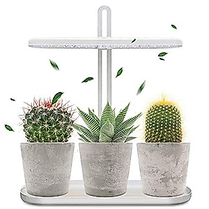 DIGLAB Indoor Garden Led Grow Light:Herb Seeds Kitchen Garden Grow Kit - House Plant Growing Lamps Growing System with Timer
