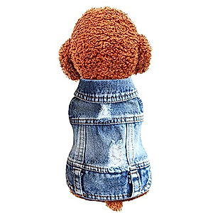 Large Dog Apparel Vest Clothing Spring Fashion for Small Jean Cool Cats Shirt Breathable Jacket Pet Dog Clothes for Girls Medium