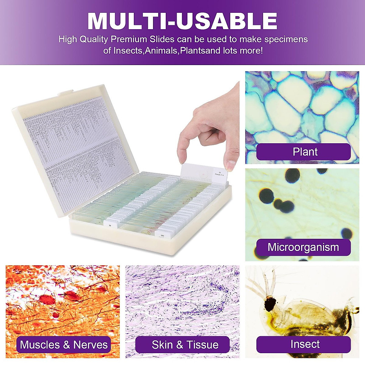 100 Pcs Microscope Slides with Specimens for Kids,Prepared Microscope Slides for Kids,Prepared Slides for Microscope,Microscope with Slides for Student Adults, Including Insect, Animal, Human Tissue