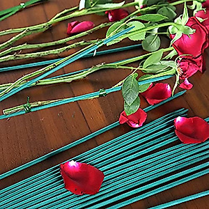 Garden Wood Stakes,HOUNANG Green Bamboo Plant Support Stakes,Flower/Orchid/Tomato Wooden Stakes for Gardening,Plant Stakes and Supports for Potted Plants - 25Pcs 18 Inches