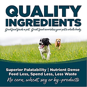 NutriSource Adult Chicken & Rice Small Bites Dog Food 5lb