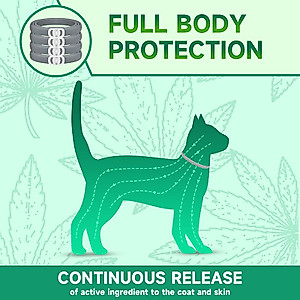 4 Pack Flea Collar for Cats, Cat Flea and Tick Treatment, 8 Months Protection Flea and Tick Prevention for Cats, Waterproof Cat Flea Collar, Adjustable Cat Flea and Tick Collar for Cats Kittens, Grey