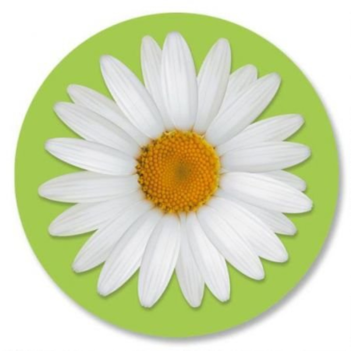 Daisy Envelope Seals - Set of 24 (1 Design) Sticker Seals on 8-1/2" x 11" Sheet