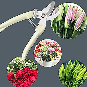 3CR13 Garden Shears farmer florist Pruner For garden picking fruit pruning regenerated branches, secateurs, white