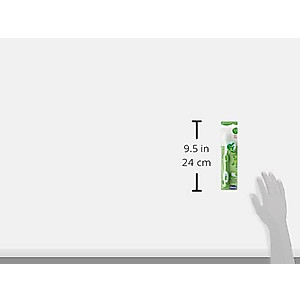 Chicco 00009079200000 Toothbrush 3-6 Years, Blue