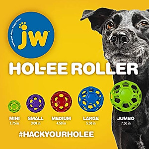 JW Pet Hol-ee Roller Dog Toy Puzzle Ball, Natural Rubber, Small (3 Inch Diameter), Colors May Vary