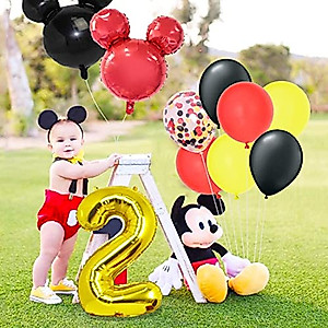 Cartoon Mouse 2nd Birthday Party Supplies - Oh Twodles Theme Party Decorations Includes Felt Banner,Welcome Hanger Door Sign, Tablecloth,Cake Cupcake Toppers,Mouse Head Balloons, 12" Latex Balloon, Confetti Balloon