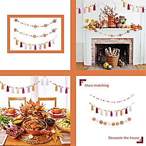 Boho Tassel Garland Tassel Wall Hanging Decor Daisy Party Decorations for Halloween Thanksgiving Christmas Birthday Party Bedroom Nursery Classroom Decorations