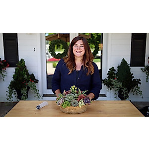 Espoma Organic Cactus Potting Soil Mix, Natural & Organic Soil for Cactus, Succulent, Palm, and Citrus grown in containers both indoors and outdoors, 4 qt, Pack of 1