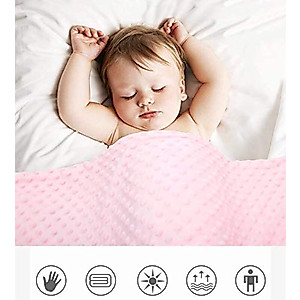 Baby Blanket Super Soft Minky Blanket with Double Layer Dotted Backing Pink Flamingo Security Blanket for Newborns Nursery Stroller Receiving Toddlers Crib Bedding for Boy or Girl(30 x 40 Inch)