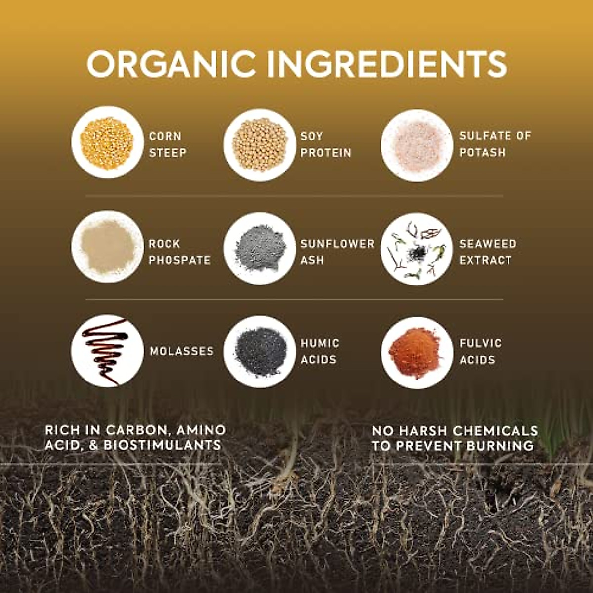 Root Organic Lawn Fertilizer - Grass Fertilizer for Lawn with Potassium for Root Growth, Lawn Fertilizer That Conditions Soil, No Harsh Chemicals Lawn Care, 32 oz Lawn Food for 5,000 sq. ft.