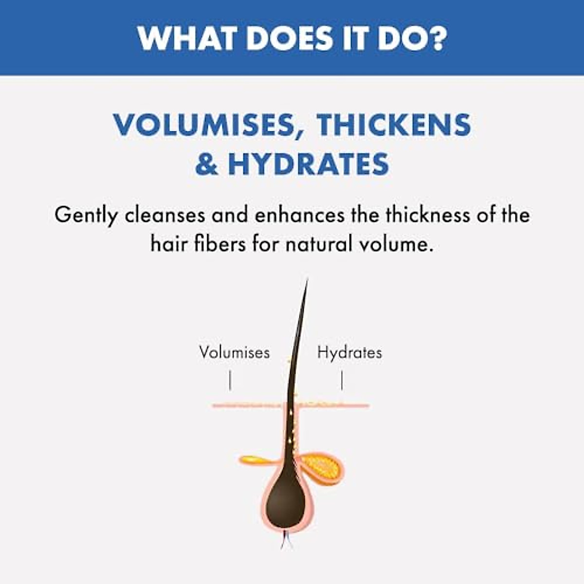 Alfaparf Milano Semi Di Lino Volume Shampoo For Fine Hair – Anti Frizz, Hair Thickening Shampoo to Add Volume & Body - Sulfate Free and Professional Salon Quality - Frizz Control Products (8.45 oz)