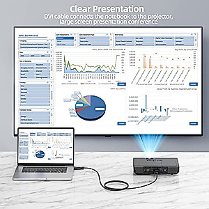DVI to VGA Cable 6ft, FEMORO Active DVI-D 24+1 to VGA Adapter Male to Male Gold-Plated Braided Cable for HDTV PC Host Laptop Monitor and Projector
