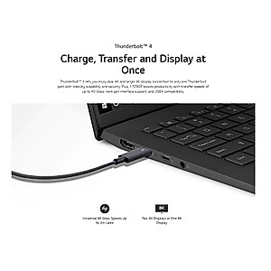 LG Gram 17 Ultra-Lightweight Laptop, 17" IPS WQXGA (2560 x 1600) 16:10 DCI-P3 99% Display, Intel Evo i7-1195G7, Wi-Fi 6, Webcam, 2X Thunderbolt4, 20 Long Battery Life (16GB 4266MHz RAM | 1TB PCIe SSD)