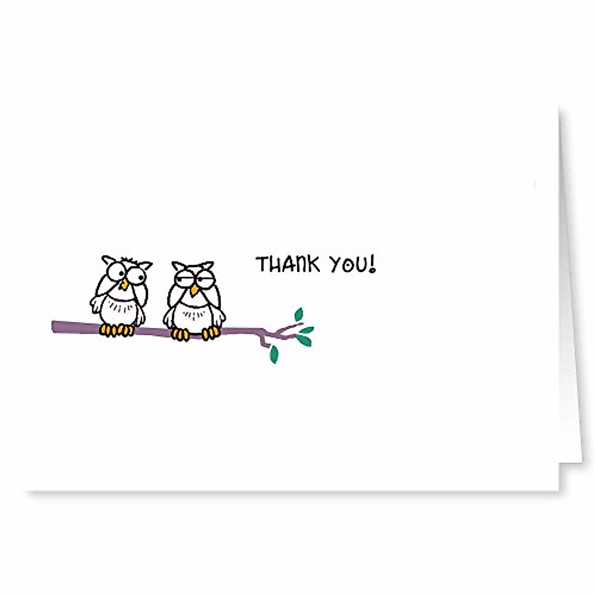 18 Assorted Thank You Note Cards - Blank Assorted Thank You Notes - Boxed Set Cute Animals Note Cards