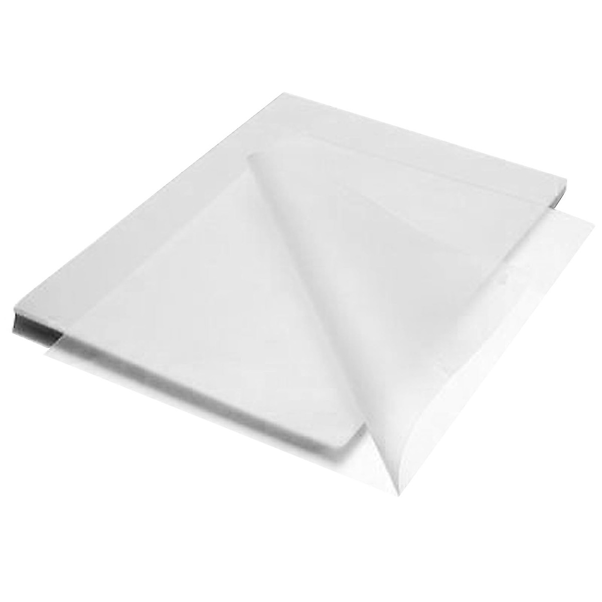 Oregon Lamination Hot Laminating Pouches Letter (Pack of 100) 3 Mil 9 x 11-1/2-inch Matte/Matte
