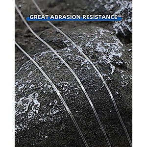 BLUEWING Monofilament Fishing Line Clear Invisible Thin Diameter Fishing String Mono Fishing Line, Dia.0.9mm*500YD*100LB