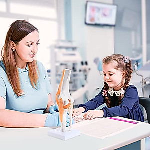 SKUMOD Anatomical Medical Knee Joint with Ligaments Model, Life-Size, for Medical Teaching Students Study Science Education