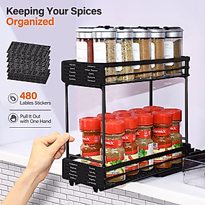 Xpatee [2 Pack Pull Out Spice Rack Organizer for Cabinet with 480 Labels, 2-Tier Heavy Duty Slide Out Seasoning Organizer for Kitchen Cabinets , Sliding Cabinet Organizer 4.6" W x10.3 D x9 H