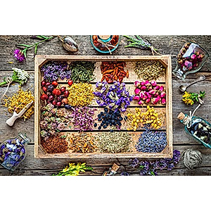 Essential Oils Garden Seed Kit - Grow Peppermint, Tea Tree, Lavender, Eucalyptus, Lemongrass, Orange