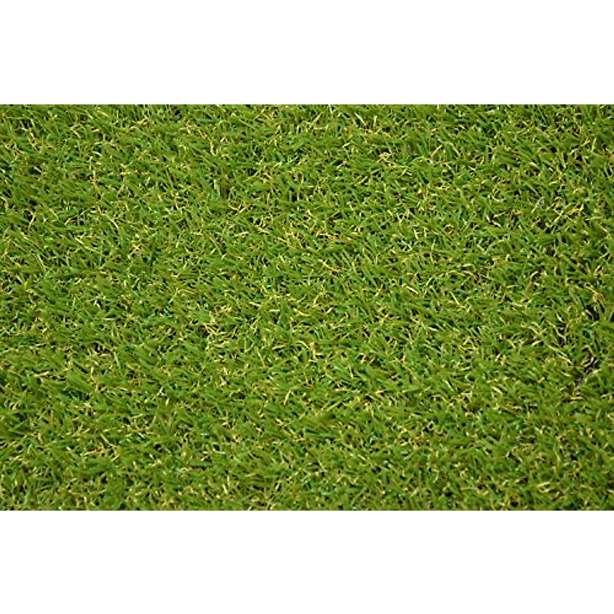 Garland Rug Puppy Pee Pad Artificial Grass Turf Rug, 3 ft x 4 ft, Green