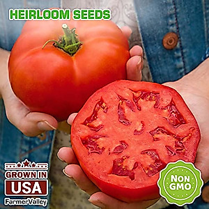 10 Assorted Vegetable Seeds - 100% Non GMO Variety Pack - 840+ Heirloom Garden Seeds for Planting Vegetables - Cucumber, Carrot, Tomatoes, Broccoli, Cabbage, Radish Seeds and More