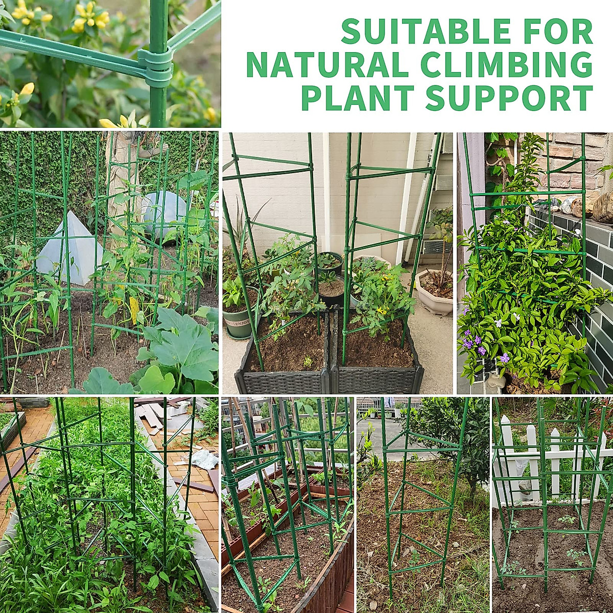 5ft 6-Pack Tomato Cage Support Green Garden Plant Sticks/Stakes for Climbing Plants, Vegetables, Fruit, Flowers