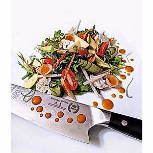 Regalia Kiritsuke Chef Knife: Professional Japanese 8.5 Inch AUS10 Premium High Carbon 67 Layer Damascus Steel Chef’s knives w/G-10 Handle Knives