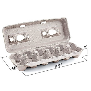 Blank Natural Pulp Egg Cartons Holds Up to Twelve Eggs - 1 Dozen (25 Pieces) and Biodegradable Pulp Fiber Egg Flats for Storing up to 30 Large or Small Eggs (15 Pieces) by MT Products