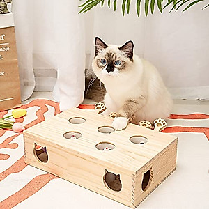 MEWOOFUN Cat Toys Interactive Whack-a-mole Solid Wood Toys for Indoor Cats Kitten Catch Mice Game