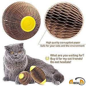 AREIIA 2 PCS Catnip Ball Toys for Cats Catnip Refillable Football Scratcher Balls Kitty's Faithful Playmate Reduce Obesity and Loneliness CSB16BR