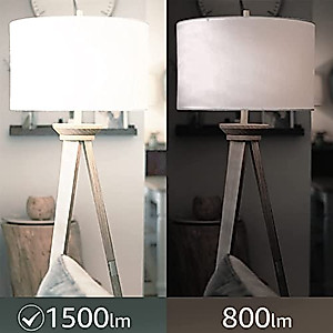 MASTERY MART A19 [100-Watt] Led Light Bulbs, E26 Base, 5000K Bright Daylight White, 1500 Lumens, CRI 80+, Non-Dimmable, Energy Star, UL Listed, 14W [100W Equivalent]- (6 Pack)