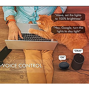 CLOUDY BAY 24 Inch Smart WiFi LED Bathroom Vanity Light,RGB Color Changing Vanity Lighting,Compatible with Alexa and Google Home Assistant,No Hub Required,25W 2700K-6500K,CRI90+ Damp Location