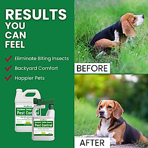 Nature's Lawn & Garden - Yard Guard - Natural Outdoor Insect Control - Gallon