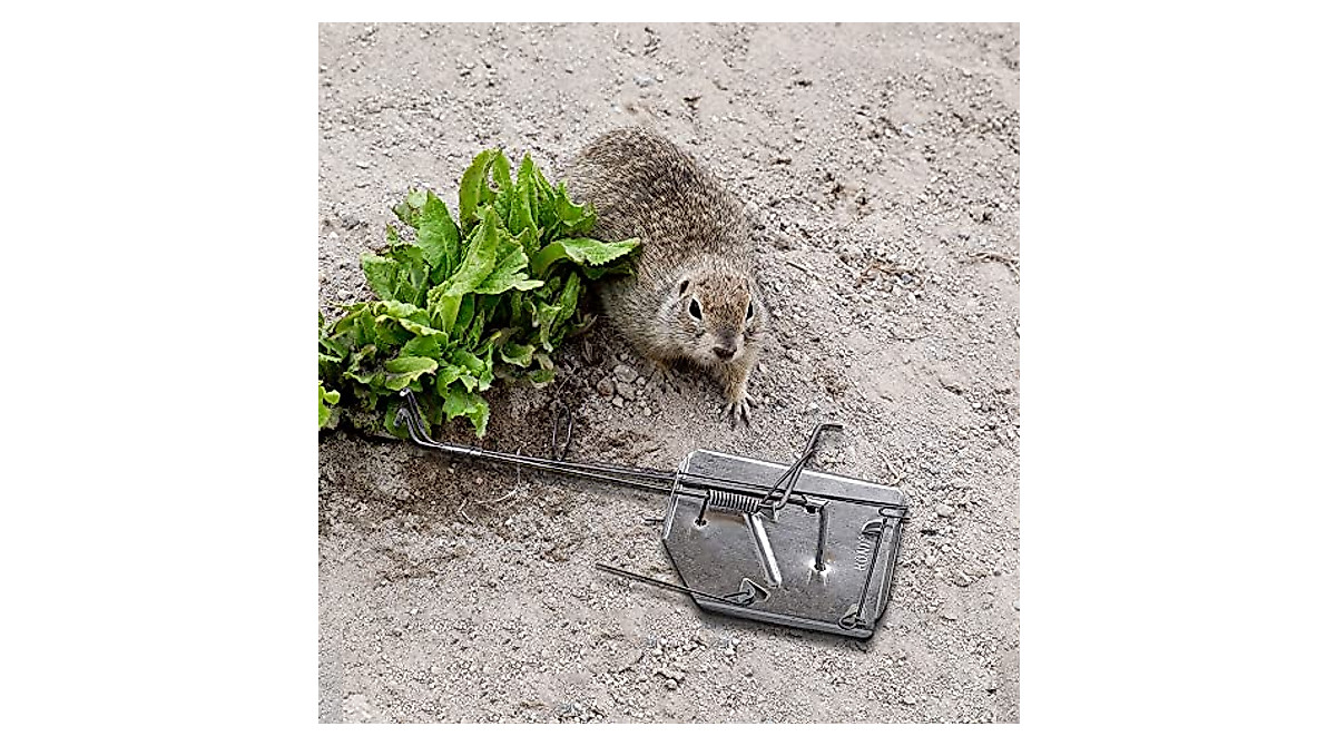 Cinch Gopher Trap Kit - Heavy Duty Reusable Rodent Trap for Outdoors