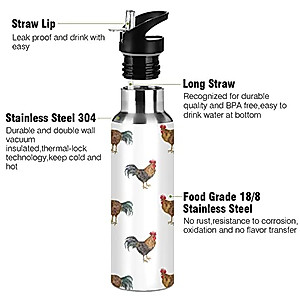 Oarencol Watercolor Rooster Water Bottle Stainless Steel Vacuum Insulated Thermos with Straw Lid 20 Oz