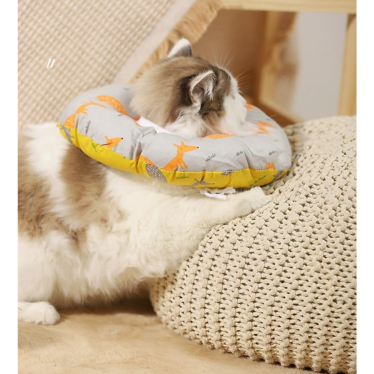 Generic Cat Cone Collar Soft, Adjustable Soft Cone for Cats, Cat Recovery Collar After Surgery for Kittens, E-Collar Elizabethan Collar for Cats, Medium