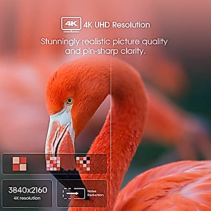 Hisense A6 Series 50-Inch Class 4K UHD Smart Google TV with Voice Remote, Dolby Vision HDR, DTS Virtual X, Sports & Game Modes, Chromecast Built-in (50A6H, 2022 New Model) Black