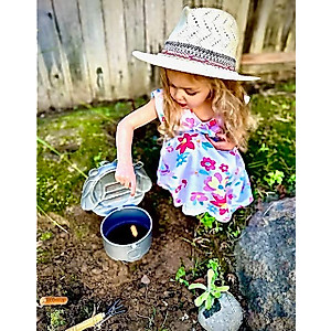 Eden's Circles Ladybug In-Ground Worm Composter (Galvanized Metal, Black/Red)