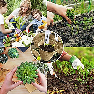 50 Pcs Peat Pots, Biodegradable Eco-Friendly Plant Seedling Starters Kit, Seed Germination Trays with 10 Plant Markers for Vegetable Tomato Saplings & Herb Seed Germination