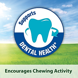 Kaytee Fiesta Hamster And Gerbil Food, 2.5-Lb Bag