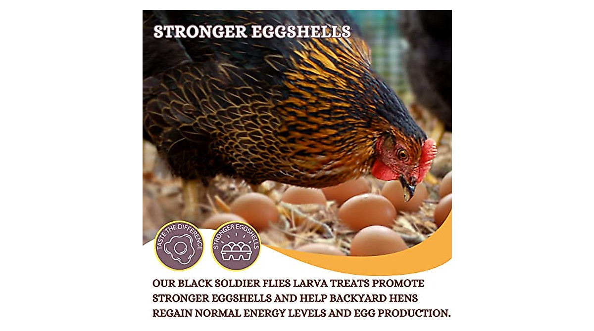 PICKY NEB Dried BSF Larvae Grubs - High-Protein Treats