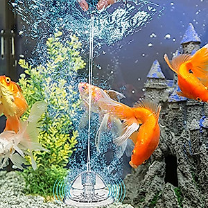 Honeydak 4 Pieces Snail Trap Plastic Aquarium Snail Trap for Fish Tank Clear Snail Catcher Fish Plants Leech Planarian Catch Box for Aquarium Fish Tank