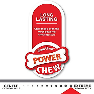 Nylabone Barbell Power Chew Durable Dog Toy Medium up to 35 lbs.