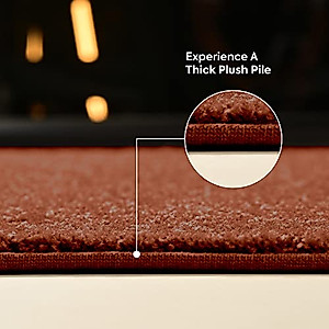 Furnish my Place Modern Plush Solid Color Rug - Rust, 3' x 5', Pet and Kids Friendly Rug. Made in USA, Rectangle, Area Rugs Great for Kids, Pets, Event, Wedding