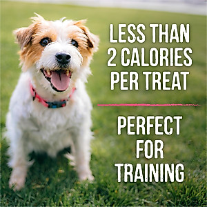Merrick Lil’ Plates Grain Free Small Dog Treats, Natural Training Treats For Small Dogs, Small Salmon Recipe - 5 oz. Pouch